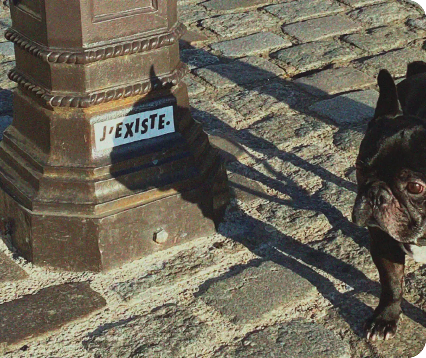 Monsieur Nini Paris | À Propos